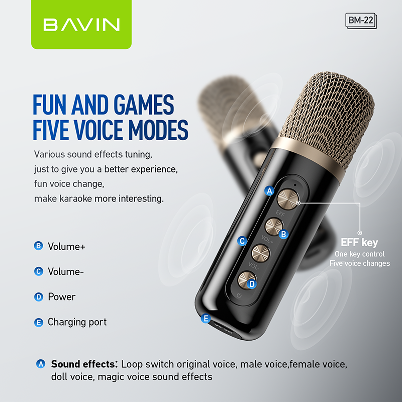 BAVIN BM22 Mini Amplifier Karaoke Bluetooth Wireless Speaker with Heavy ...