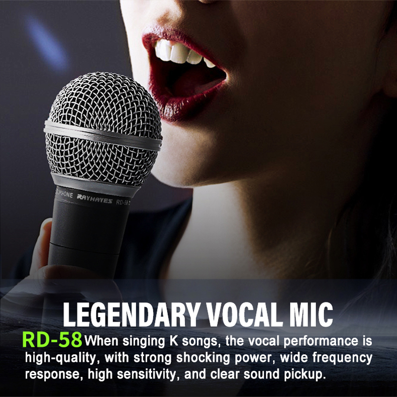 RAYHAYRS Original Microphone Karaoke RD-58 High-End Dynamic Wired Mic ...