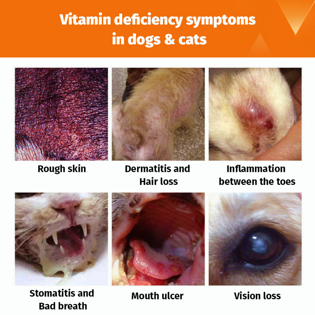 Vitamins For Dogs Multivitamins Syrup for Pets Cats Supplement Dog ...