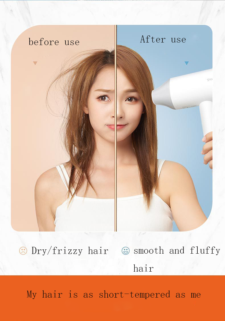 ShowSee Anion Hair Dryer A1 220V Blower Hair Dryer Hair Blower Portable ...