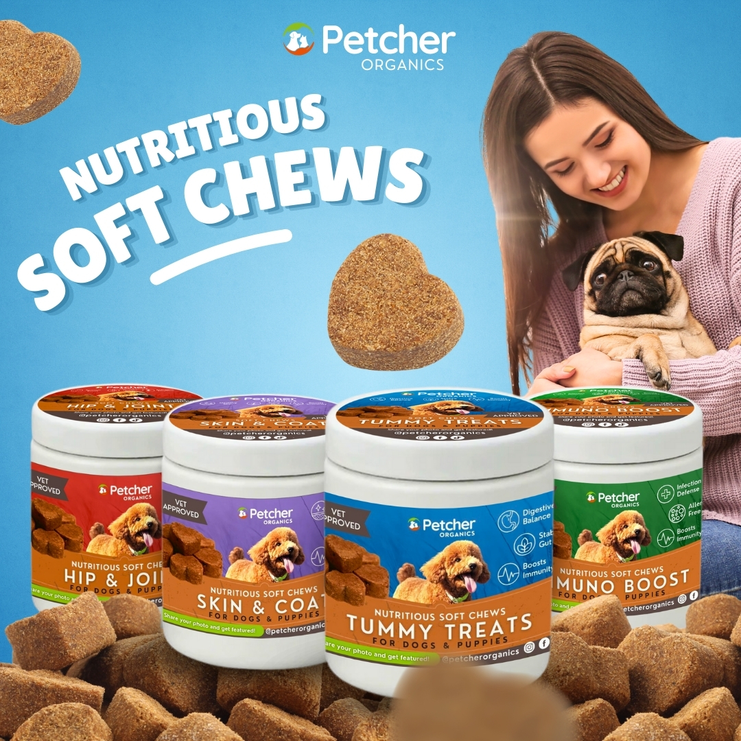 Petcher Organics Healthy Soft Chews for Dogs Tummy Probiotic Dog Treats for All Breeds 300g ...