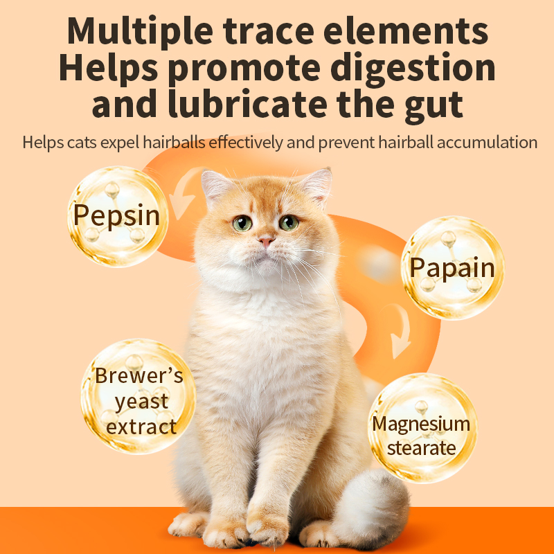 PUAINTA Hairball Solution for Cat Hairball Removal Multi Vitamin B Cat ...