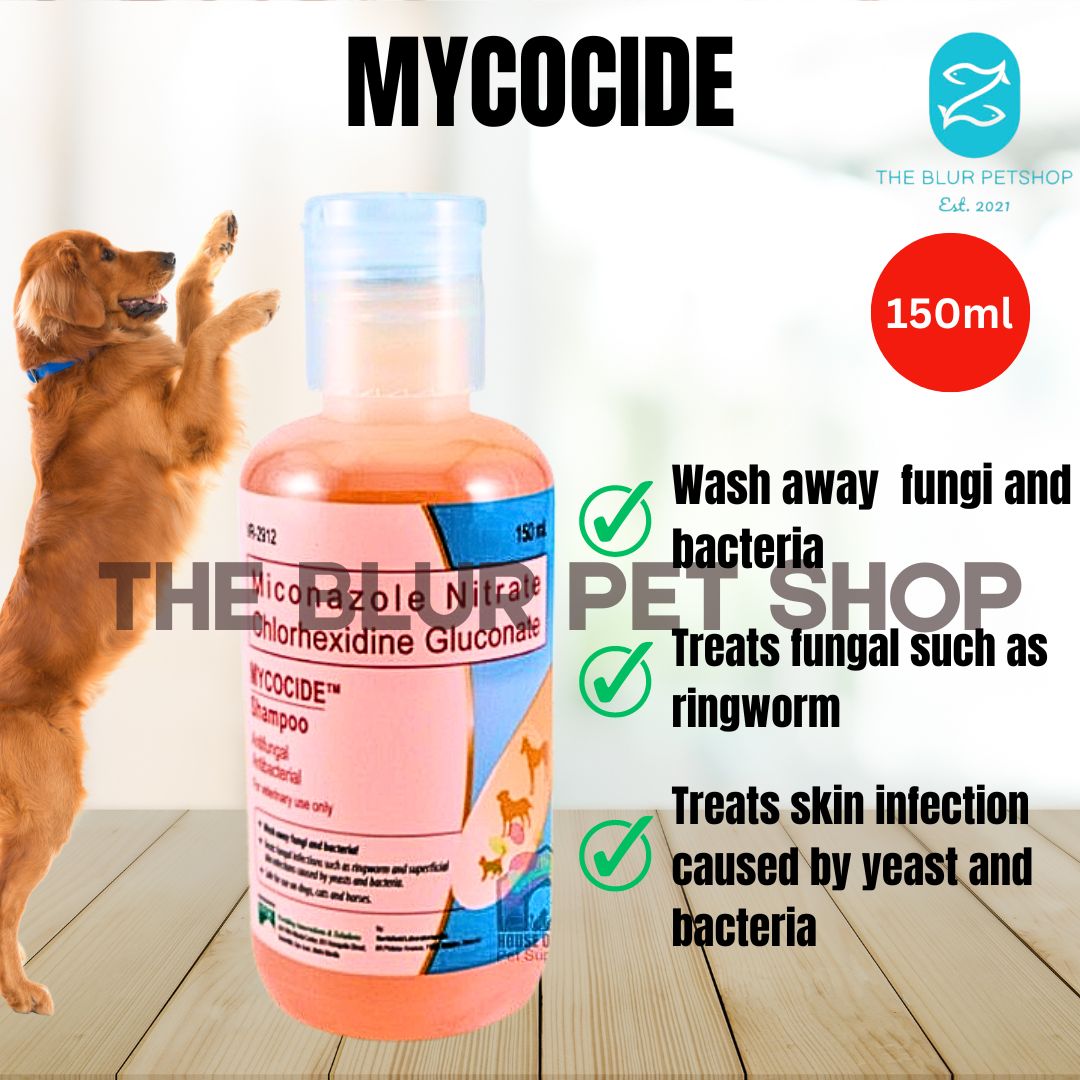 150ml Mycocide Shampoo Anti Fleas and Tick Veterinarian Recommended ...