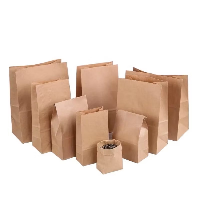 100pcs Brown Paper Bag, Brown Kraft Bag, Take Out Paper Bag, Packaging ...