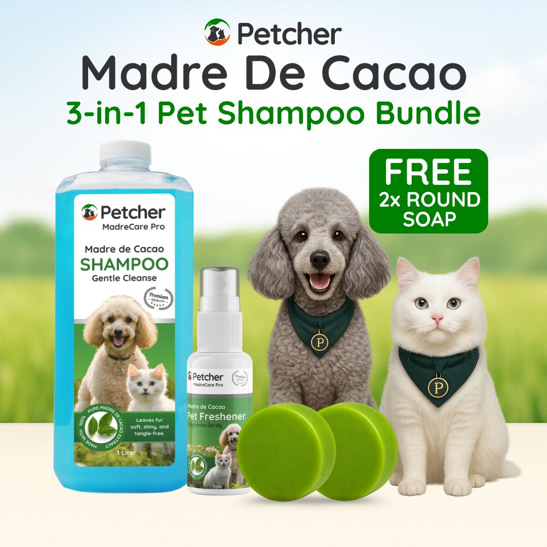 Petcher Pet Care 3 in 1 Bundle Madre De Cacao Pet Care Shampoo and ...