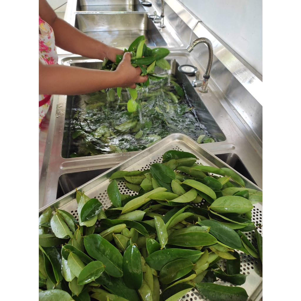 Guyabano leaves 40g 80-120pcs dried dehydrated pure natural organic ...