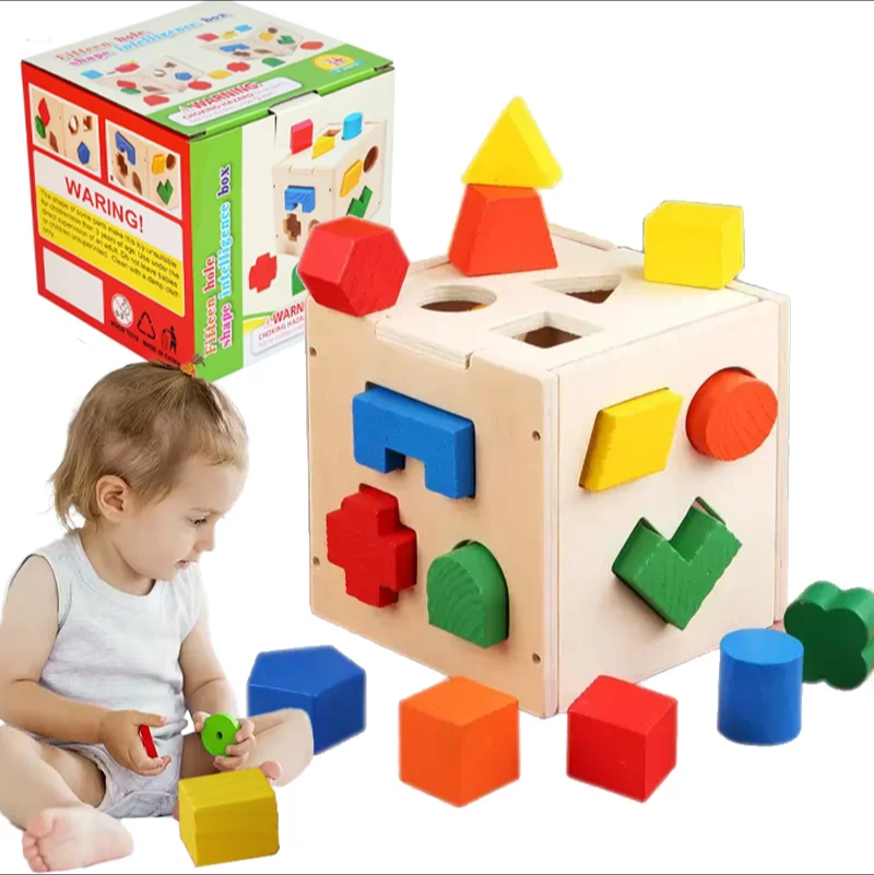 Kid Montessori 15 Hole Shapes Intelligence Box Geometric 3D Puzzle ...