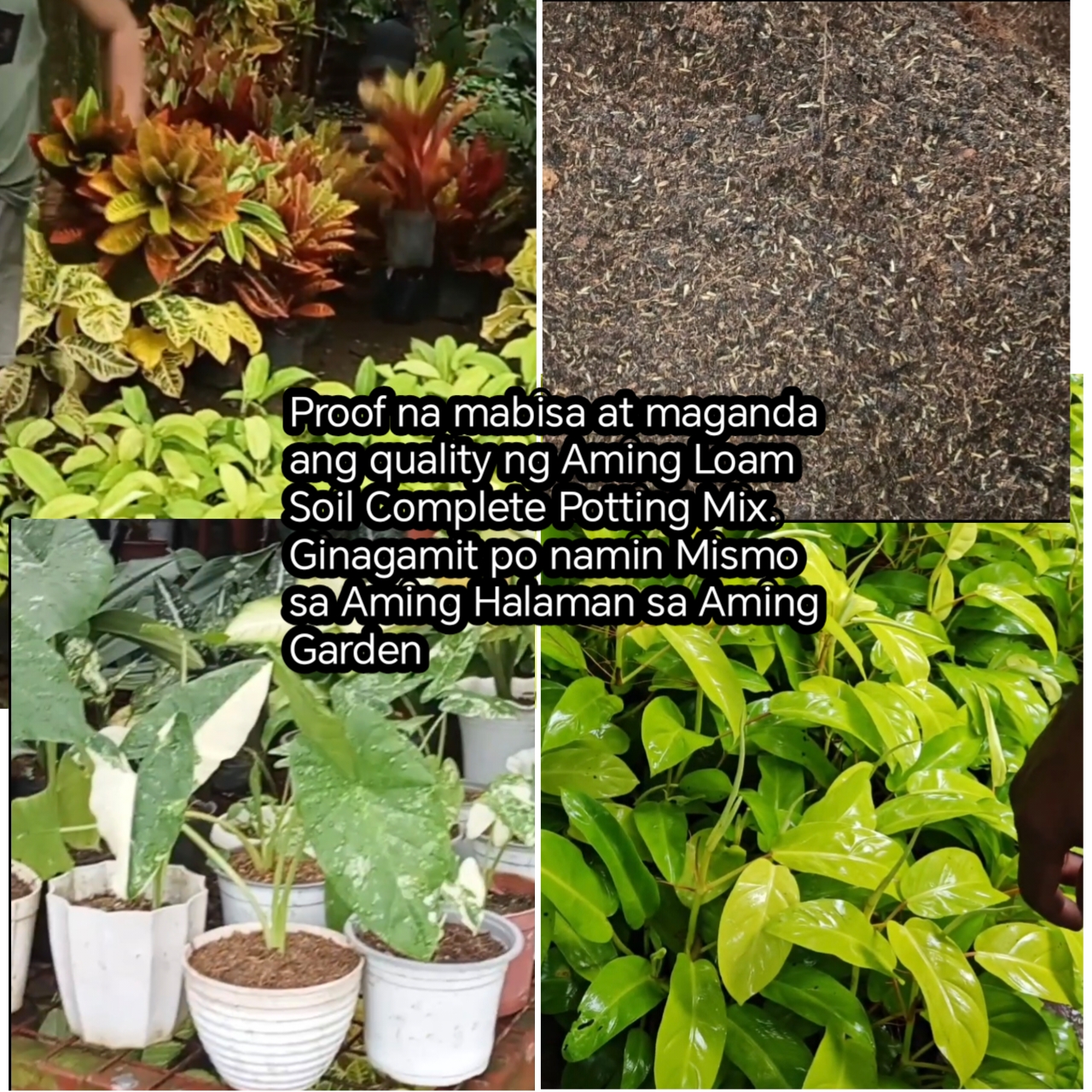 Loam Soil Complete Potting Mix 1 sack 9kg | Shopee Philippines