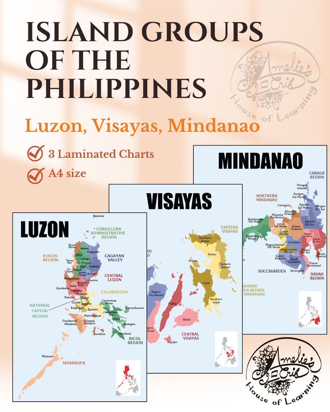 Laminated Map of the Philippines – Educational Chart | Regions, Luzon ...