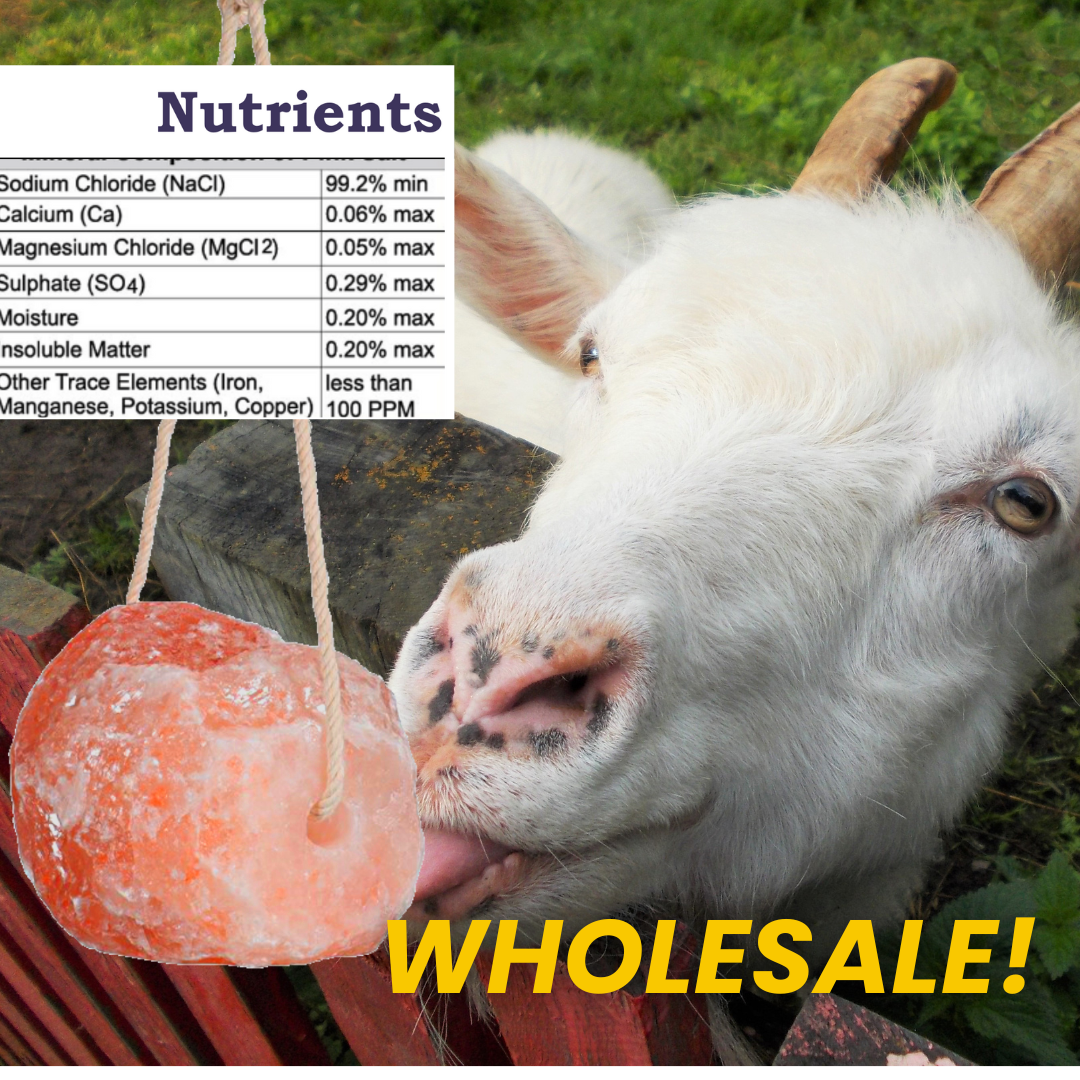 WHOLESALE Himalayan Salt Lick for Goats, Sheep, Cow, Horses | 1.3kg to ...