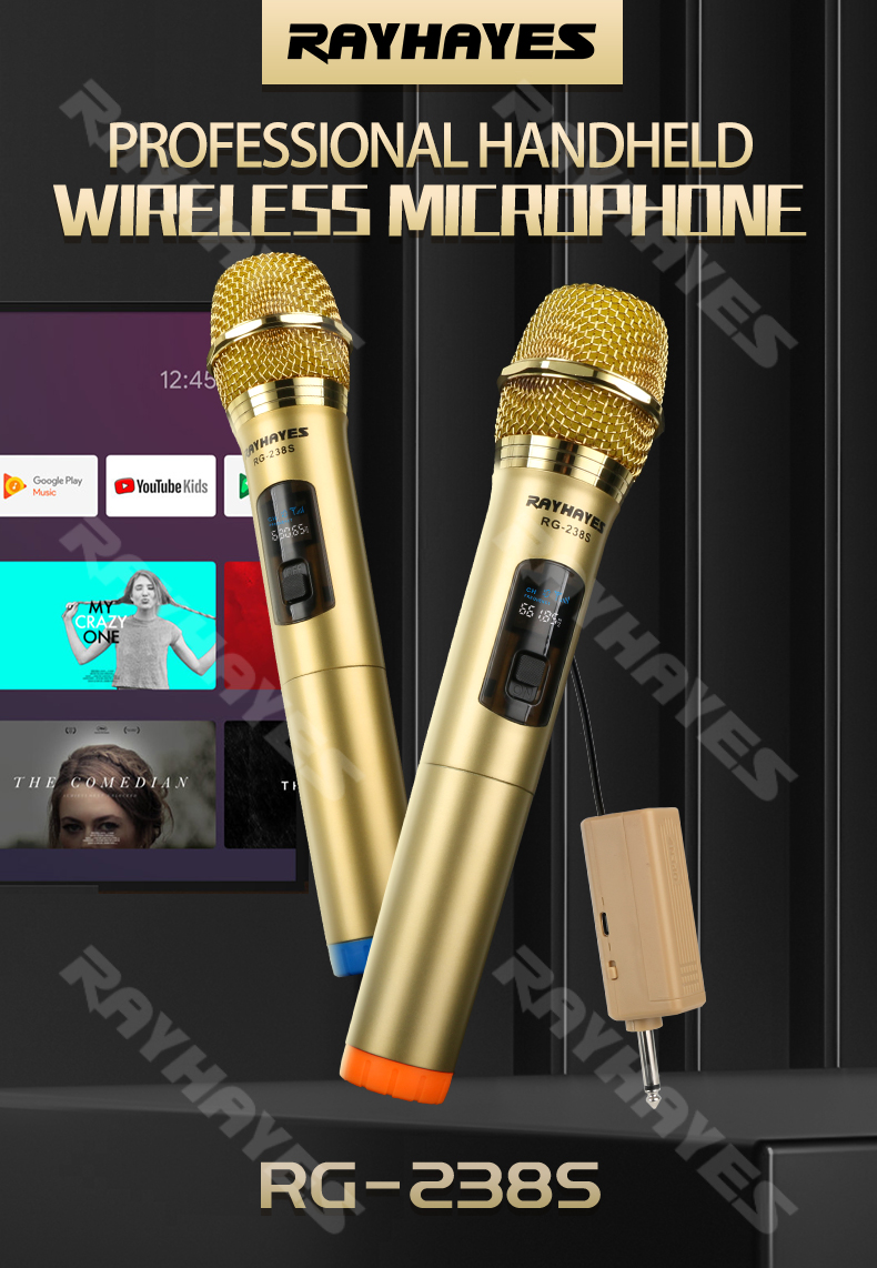 RAYHAYES RG-238S Wireless Microphone Dual Handheld UHF Professional ...