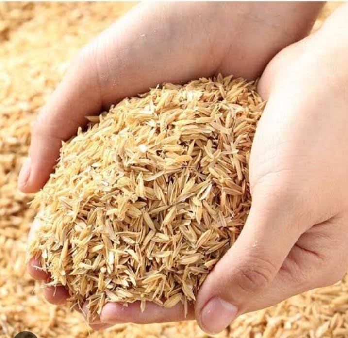 BUY 1 TAKE 1 RICE HULL - IPA - (5 KG) - PURE AND READY TO USE AFOR ALL ...
