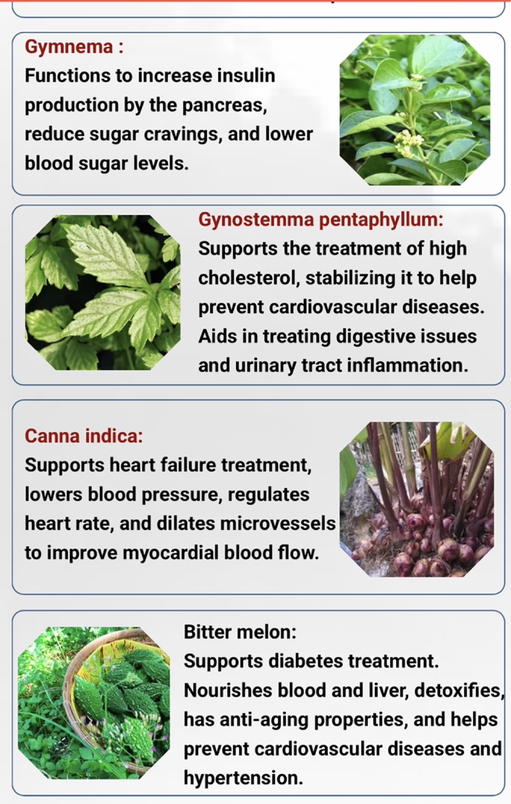 Natural Herbal Tea Glu Tea Gold Tea Bag 100% Natural | Shopee Philippines