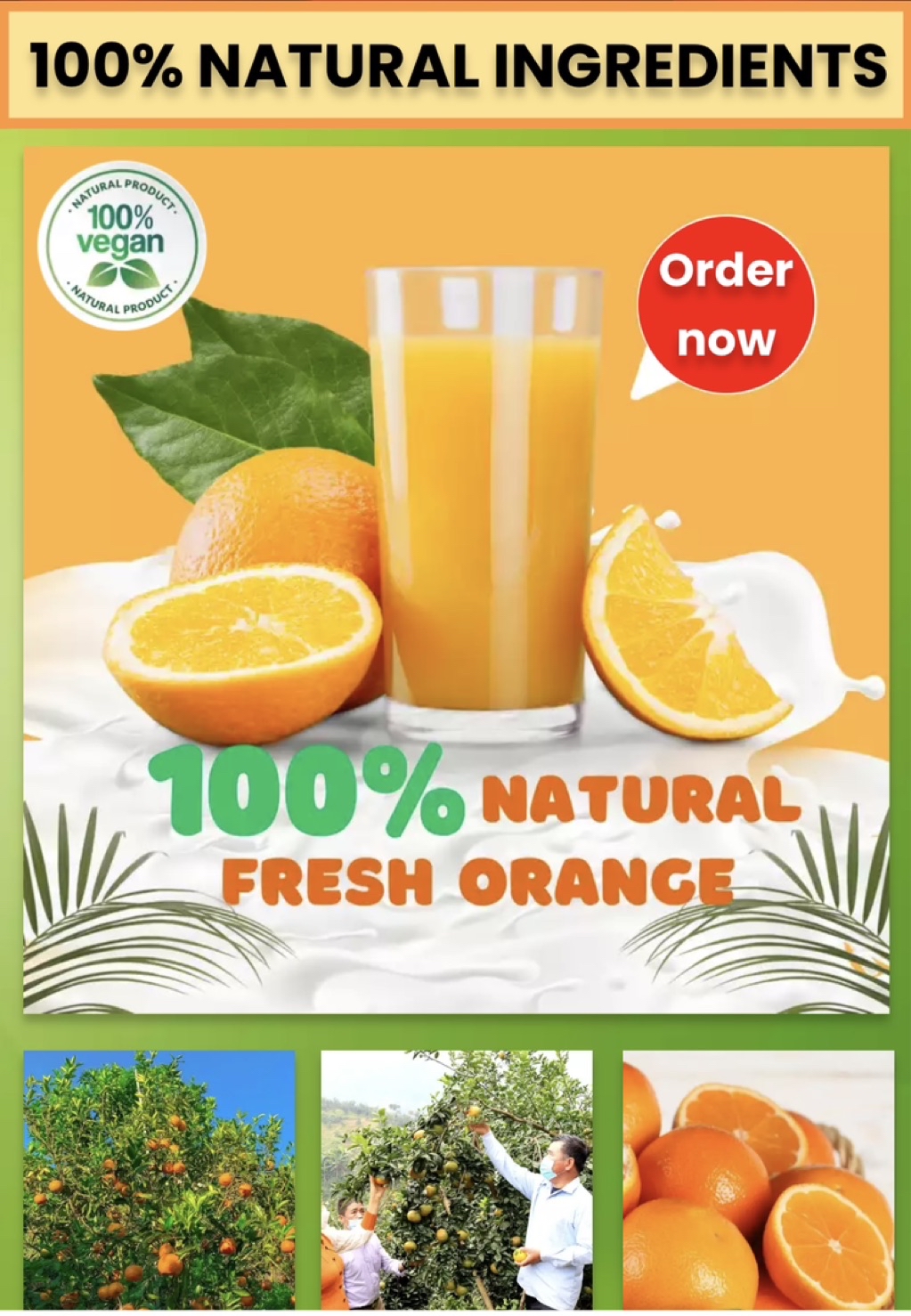 100% Natural Orange Juice Powder Mix | Shopee Philippines