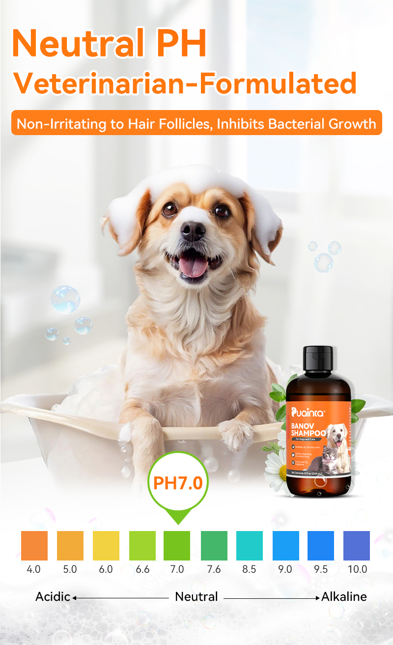 PUAINTA Herbal Anti Fungal Shampoo for Dog and Cat Skin Desease Anti ...