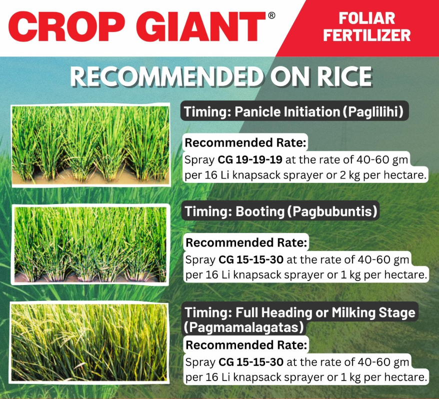 CROP GIANT 15-15-30+M.E. Foliar Fertilizer 1kg | Shopee Philippines