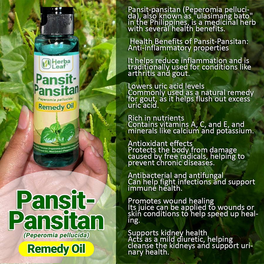 PANSIT PANSITAN Remedy Oil | Shopee Philippines