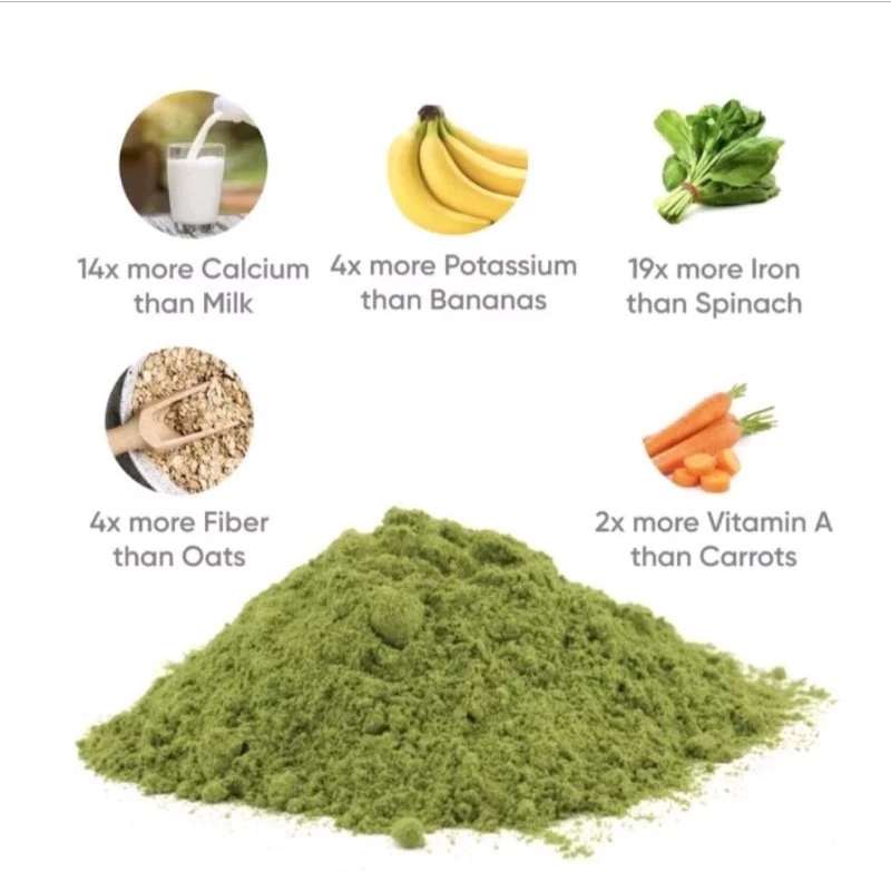 50g/100g Pets Moringa Powder Malunggay Powder Food Supplement for Dogs ...