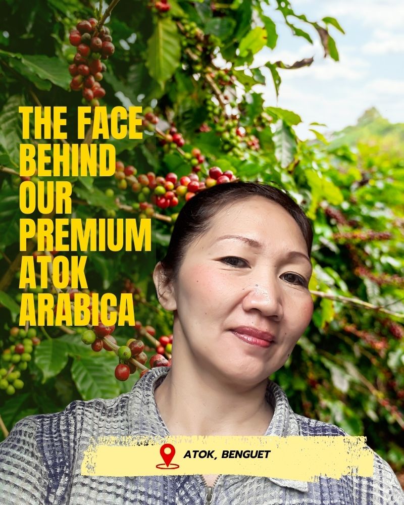 Single-Origin Arabica from Atok | Green Coffee Beans | Unroasted ...