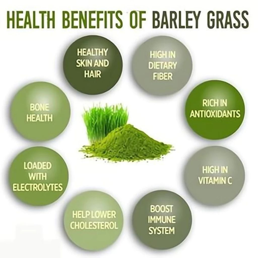 Original Organic Barley Grass Powder 4Boxes 80pcs.– Natural Cleanse ...