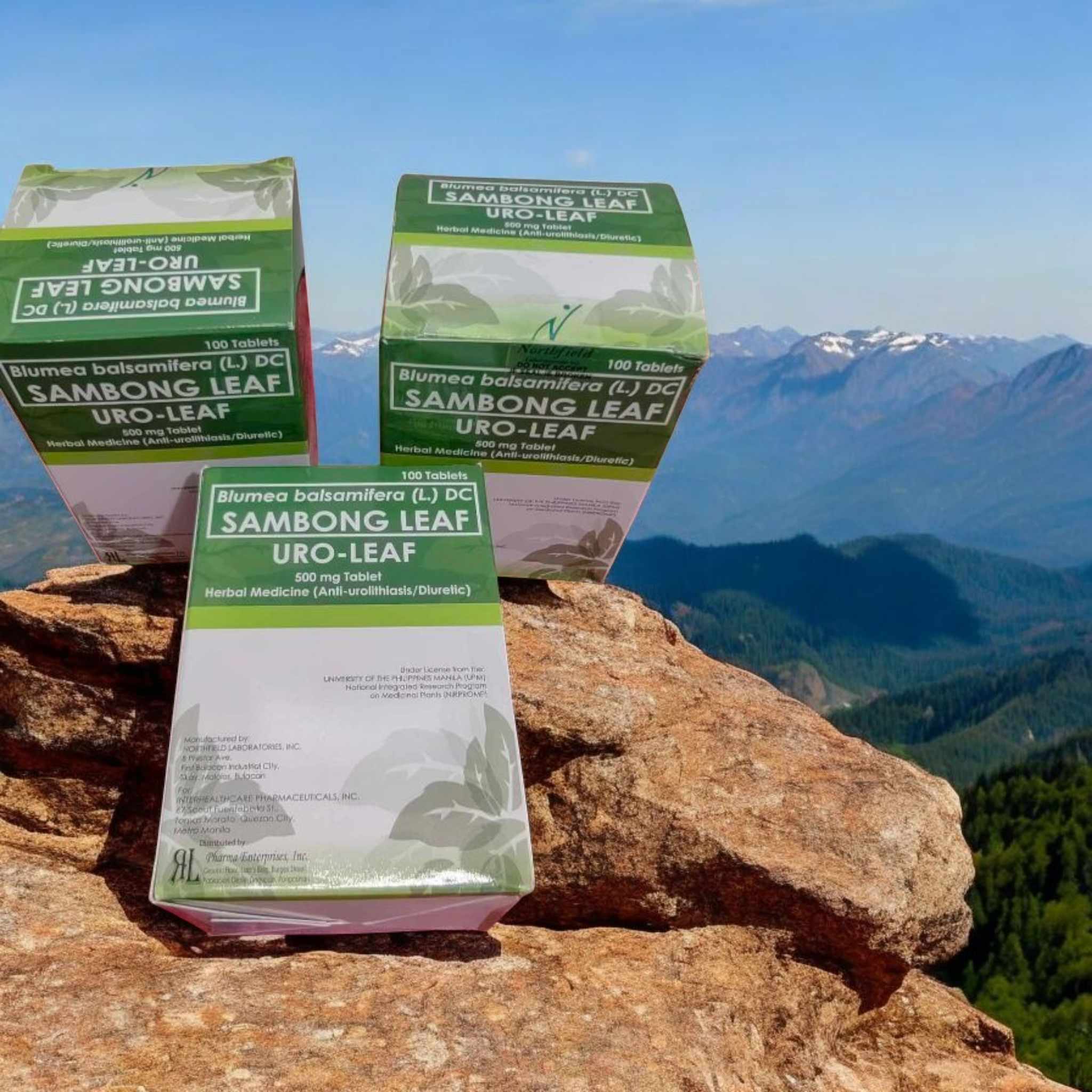 SAMBONG LEAF (URO - LEAF) 500 mg 100s Tablet | Shopee Philippines