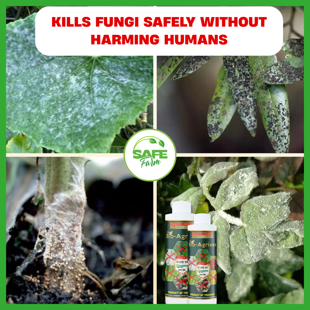 Bio Agrivax 550ML Fungicide - Kills all types of fungi on plants: leaf ...