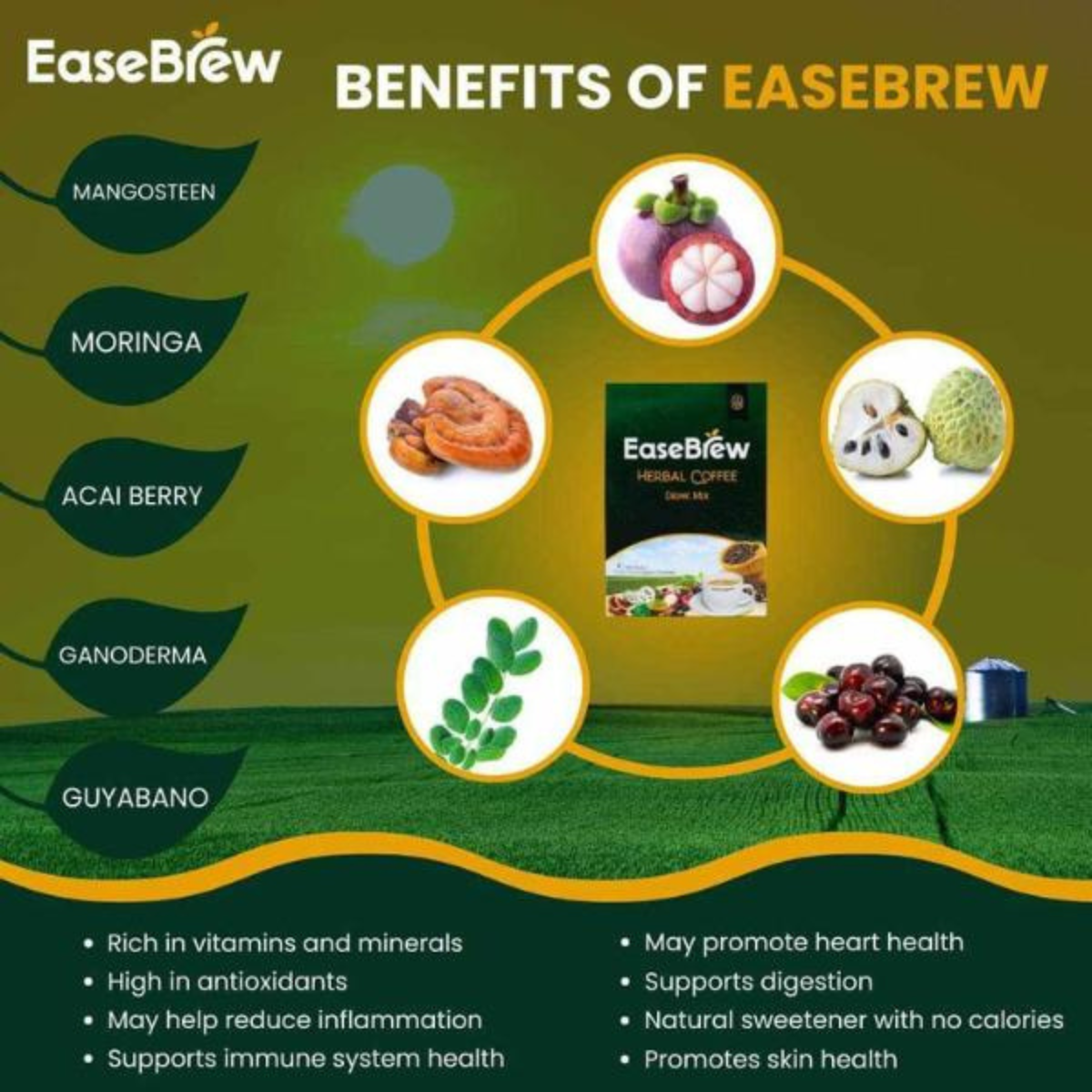 EaseBrew Herbal Coffee Drink Mix Organic - 1 Pouch/10 sachets | Shopee ...