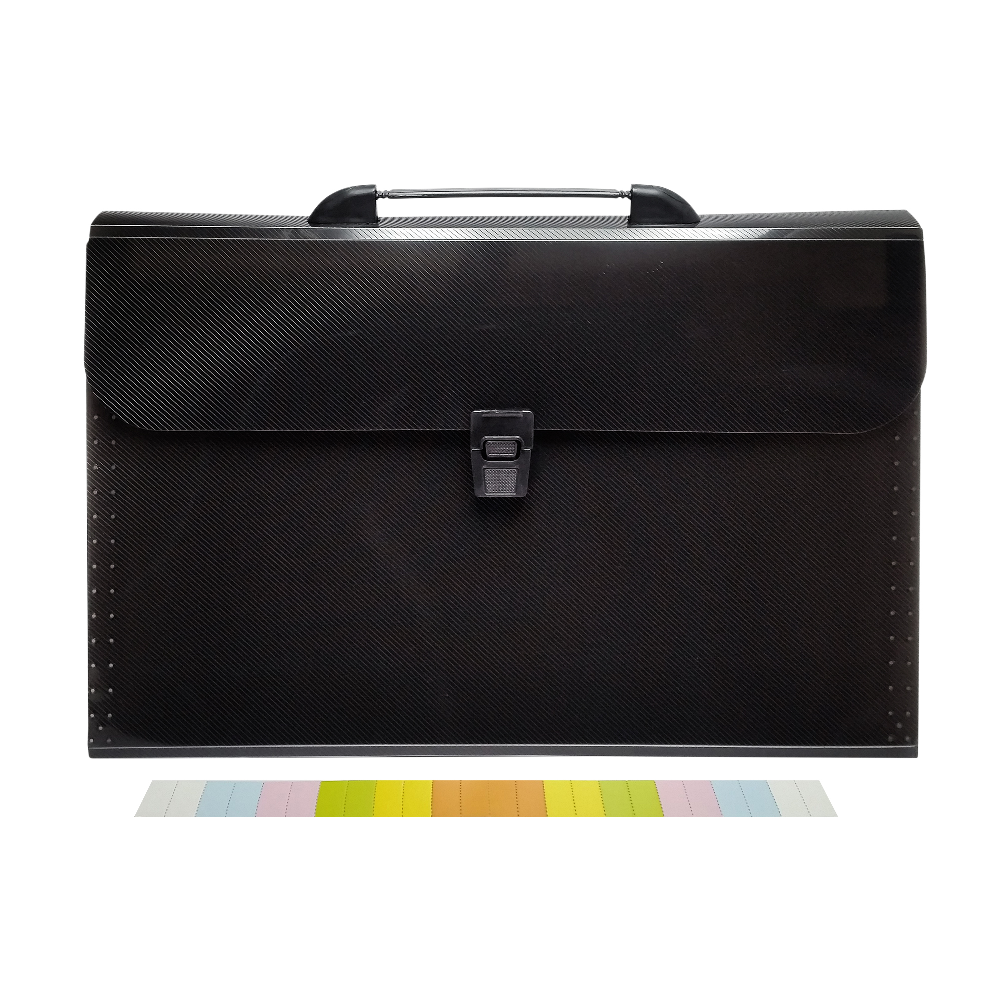 Smarty Long Accordion File Organizer Expandable File Envelope Folder w ...