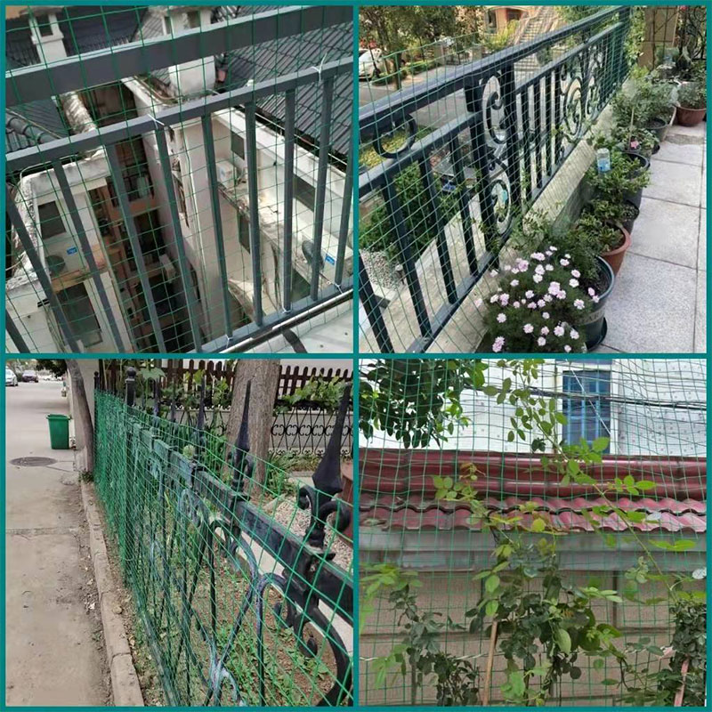 PVC WELDED WIRE MESH (PVC COATED GALVANIZED) for Plants and Animal ...