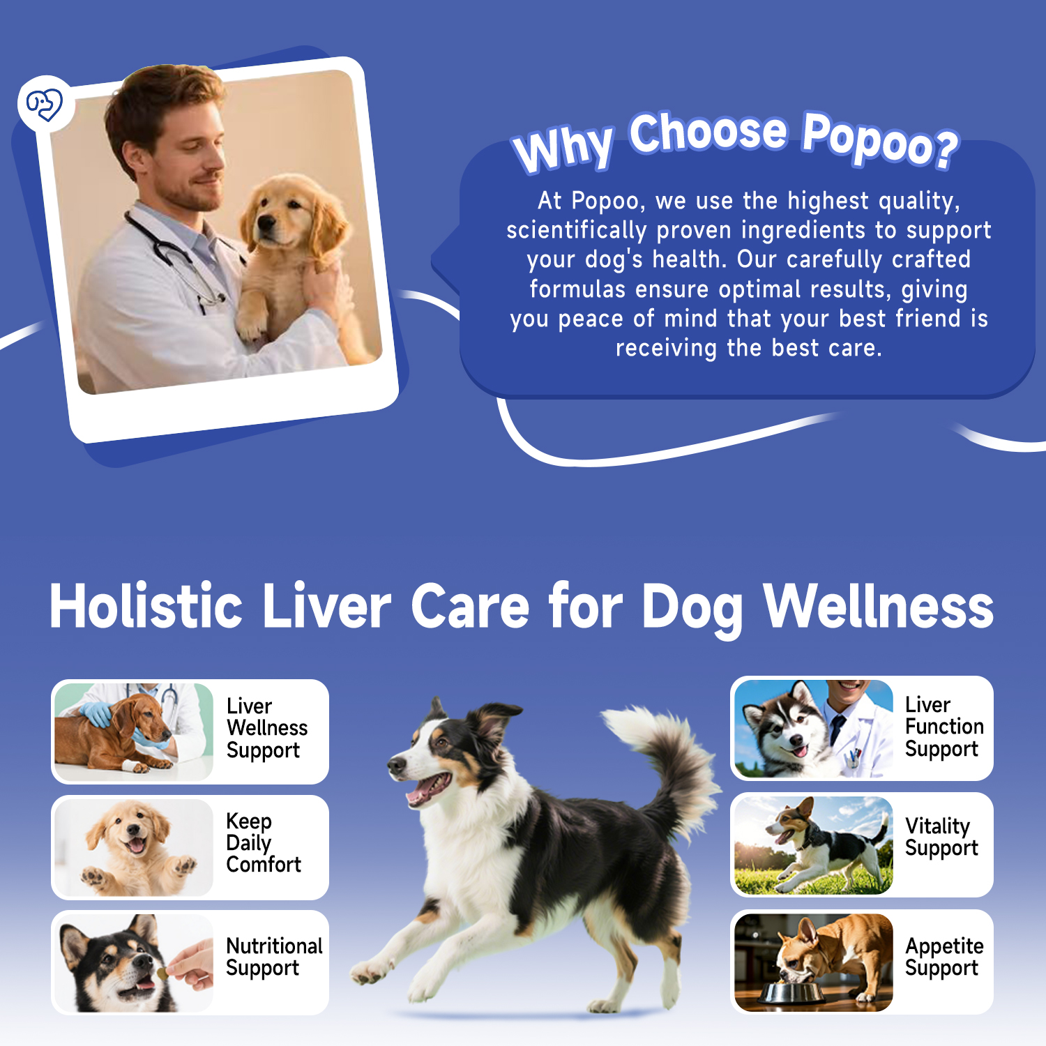 Popoo Premium Liver Health Supplement,120 Softgels,Promotes Liver ...