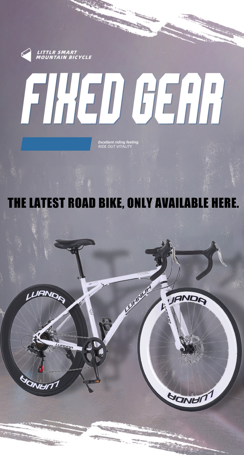 LUANDA Adult Road Bike/MTB/Fixie Bike 26 Inch High Carbon/Alloy Steel ...