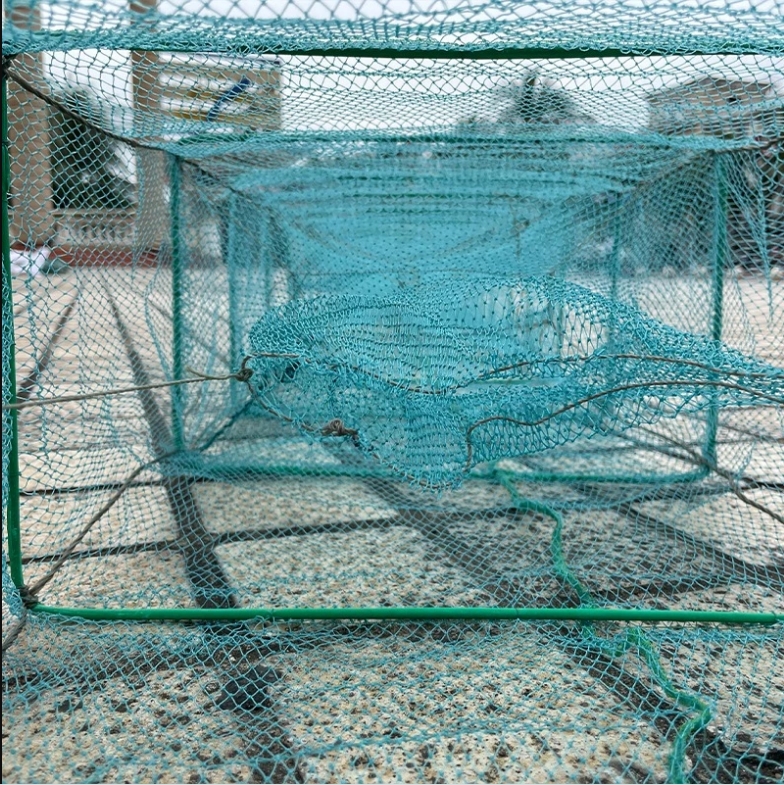 27 Section Shrimp Cage Fishing Net Folding Lobster Net Fishing Cage ...