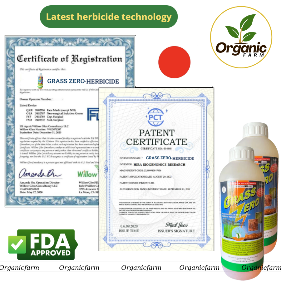[BUY 1 GET 1]Grass Zero Herbicide 500ml – Eliminates Tough Weeds, Safe ...