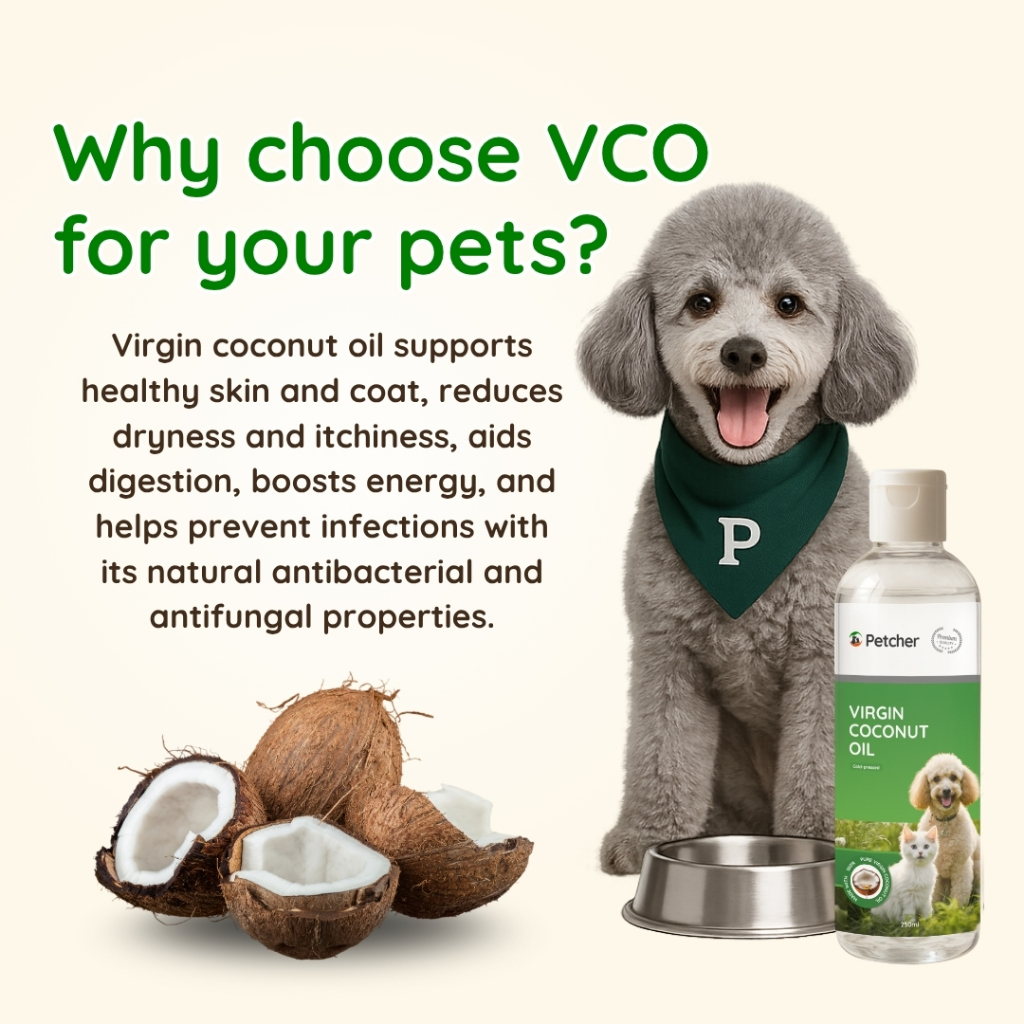 Petcher Virgin Coconut Oil for Dog VCO 100ml & 250ml Cold Pressed Hair ...