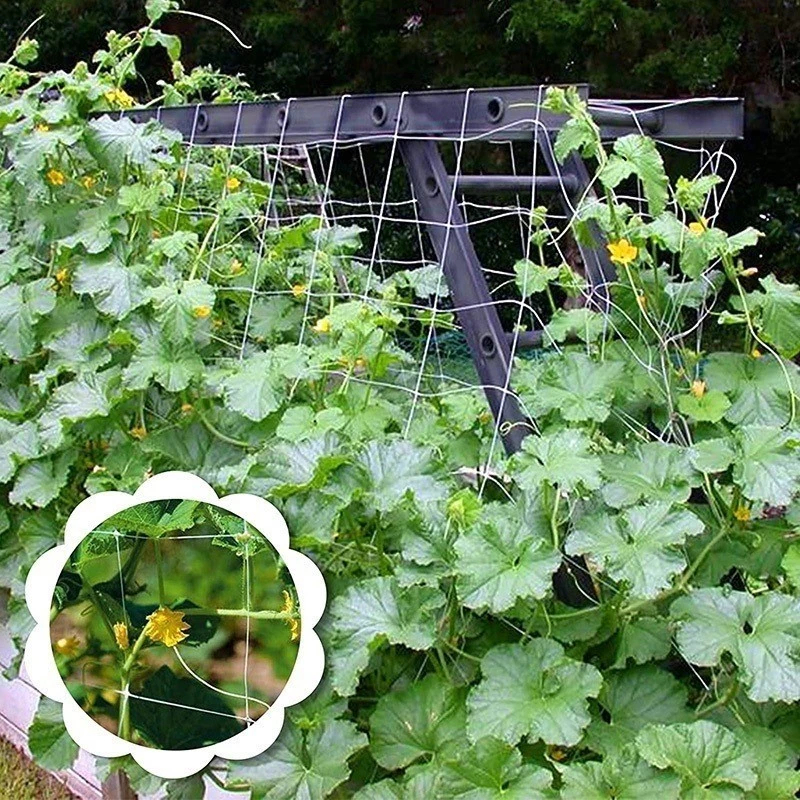 THICK Trellis Net (Balag) Vegetable Twine 10ft x 100m Trellising ...