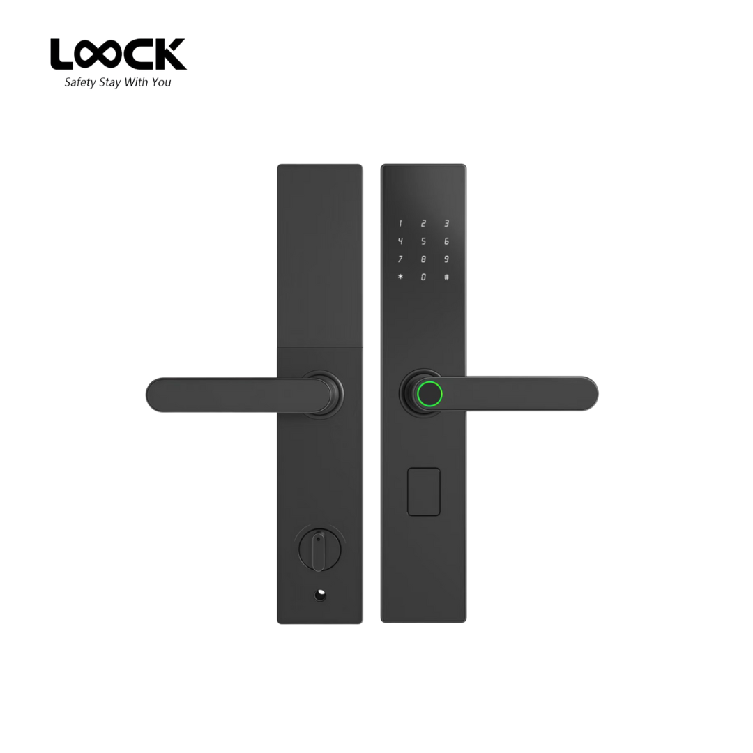 LOOCK B-11 Smart Door Lock Fingerprint Biometric - RFID Unlock | Shopee ...