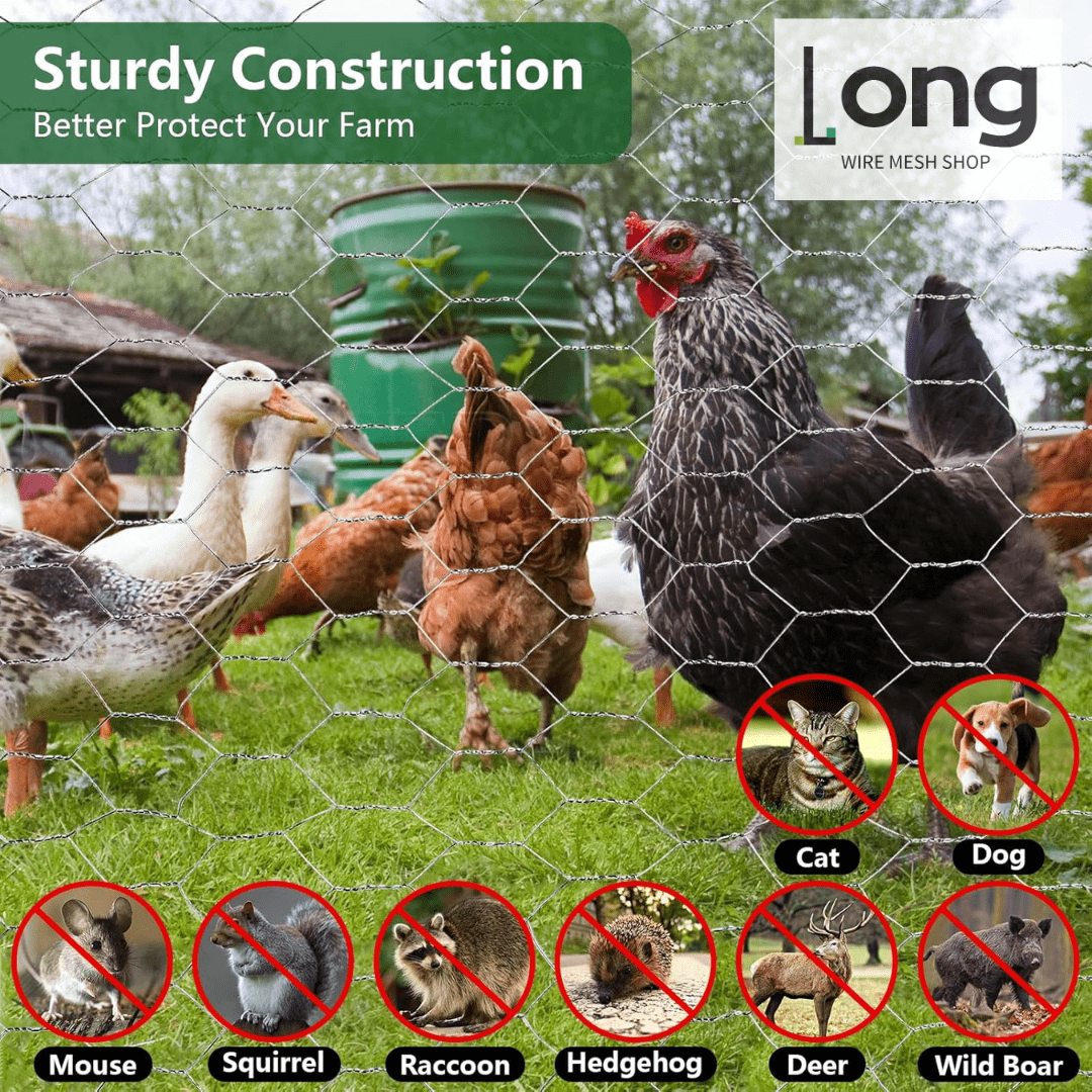 Hexagonal Wire Mesh Universal Chicken Wire Antirust Fence Chicken Fence ...