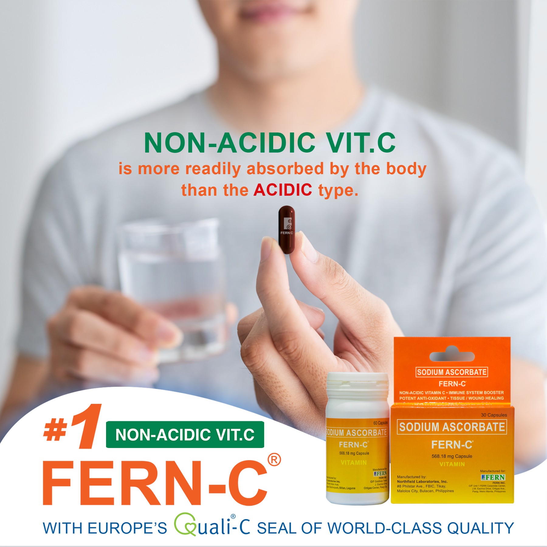 Fern-C Vitamin C Sodium Ascorbate 60capsule Fern D Fern Active B ...