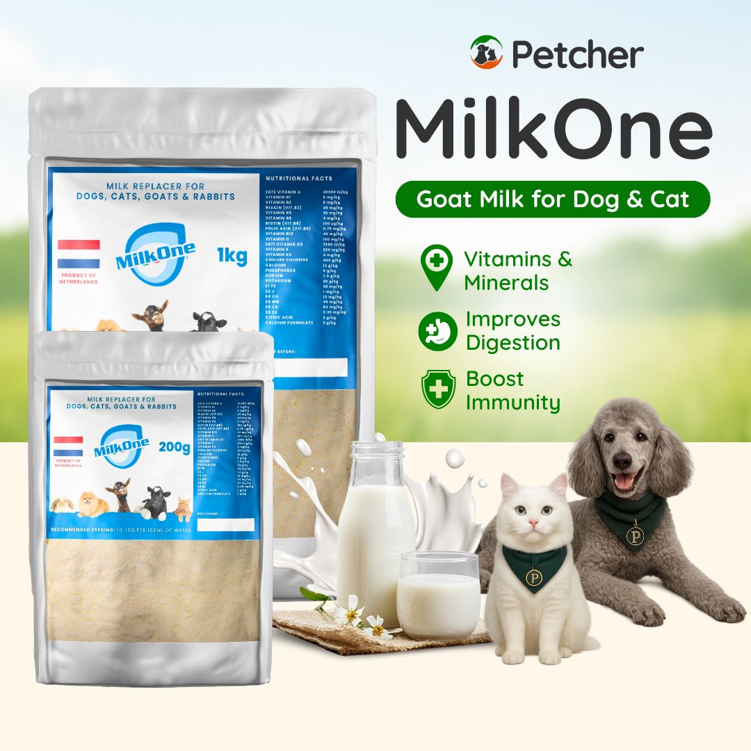 Milk One Goat’s Milk Powder 1kg and 200g for Dogs and Puppies Dog Milk ...