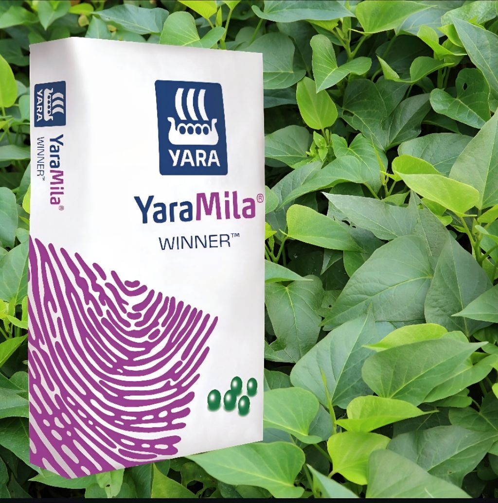 YaraMila Winner 15-9-20 + Micronutrients Fertilizer Per Kilo | Shopee ...