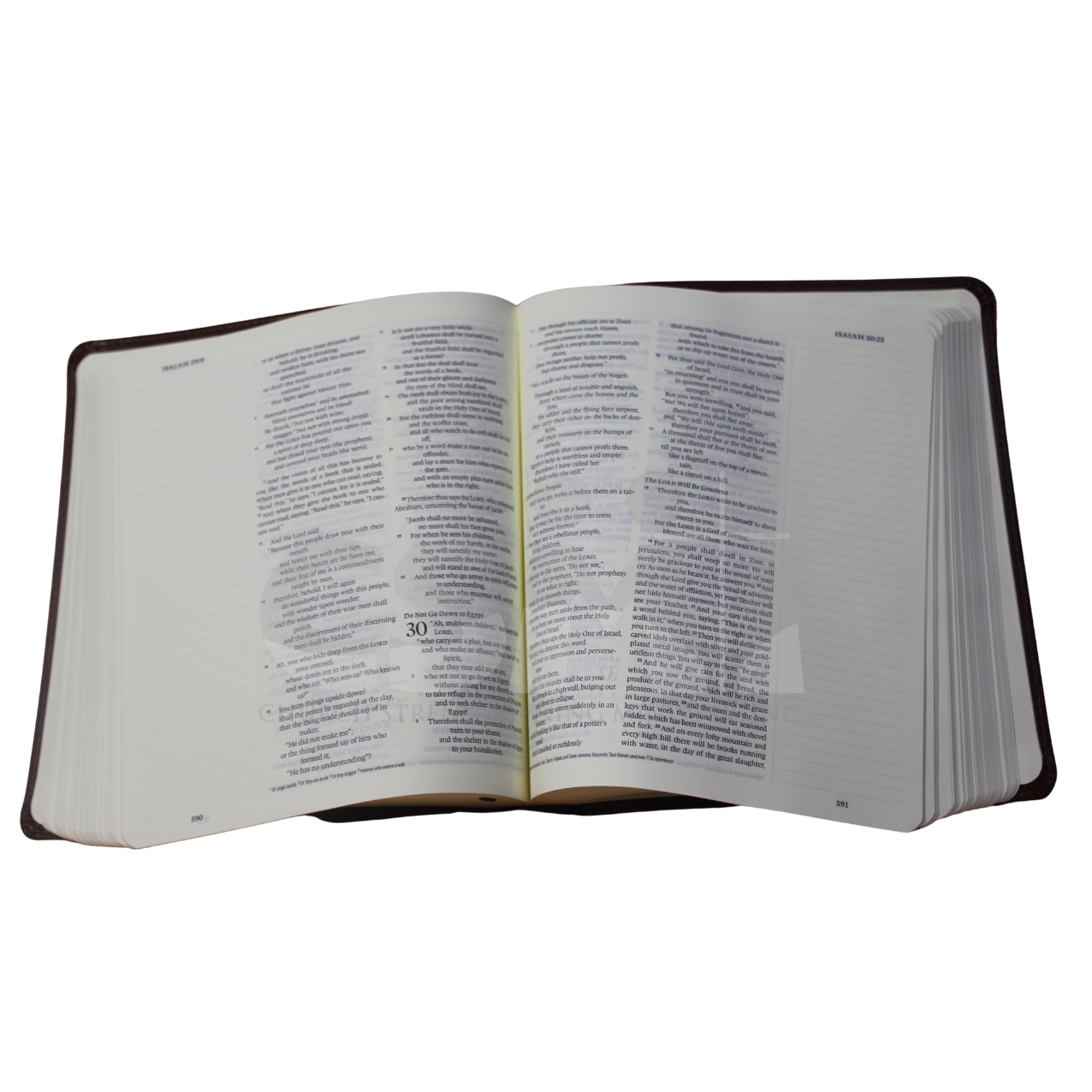 Journaling Bible: English Standard Version (esv) | Shopee Philippines