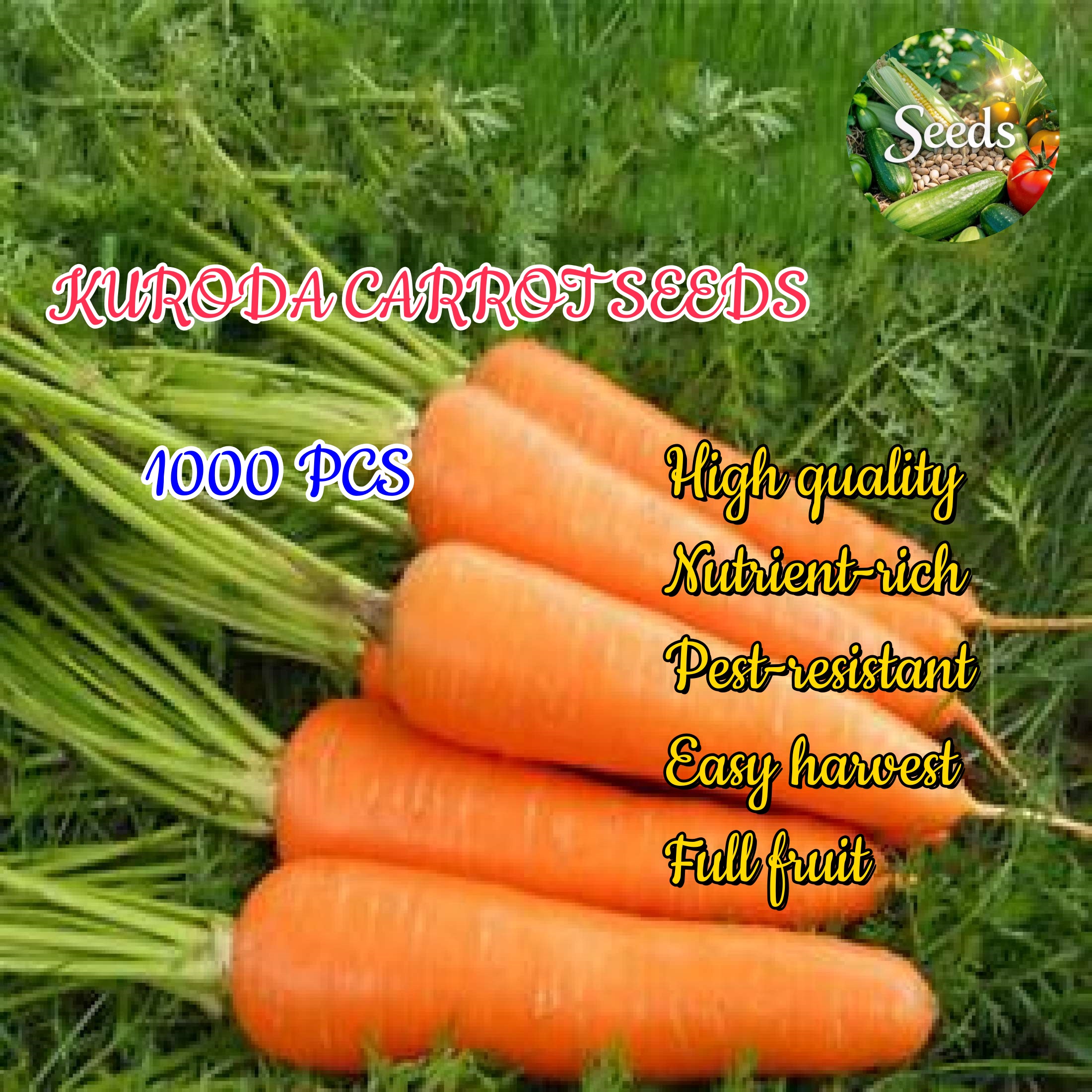 1000seeds/pack KURODA CARROT SEEDS - Carrots Seeds (High Germination ...