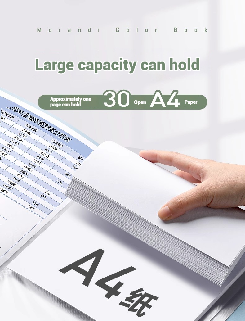 Clear Book Long Clear Folder Document Organizer Students A4 Size School ...