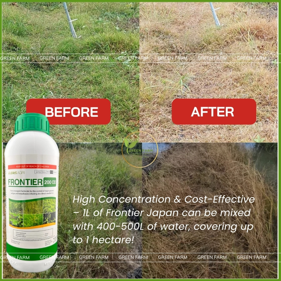 FRONTIER Herbicide 1 Liter - Kills Roots Grass, Does Not Harm Plants ...