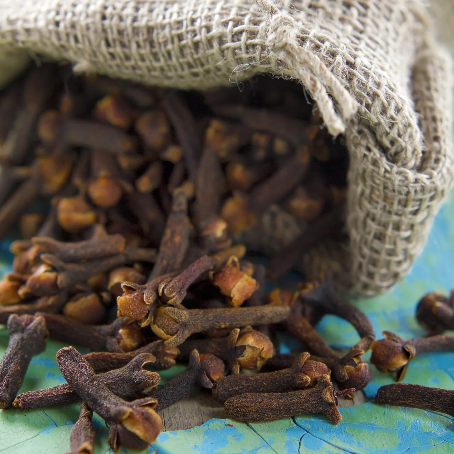 Whole Cloves - Spice Up Your Cooking with Rich Aroma | Shopee Philippines