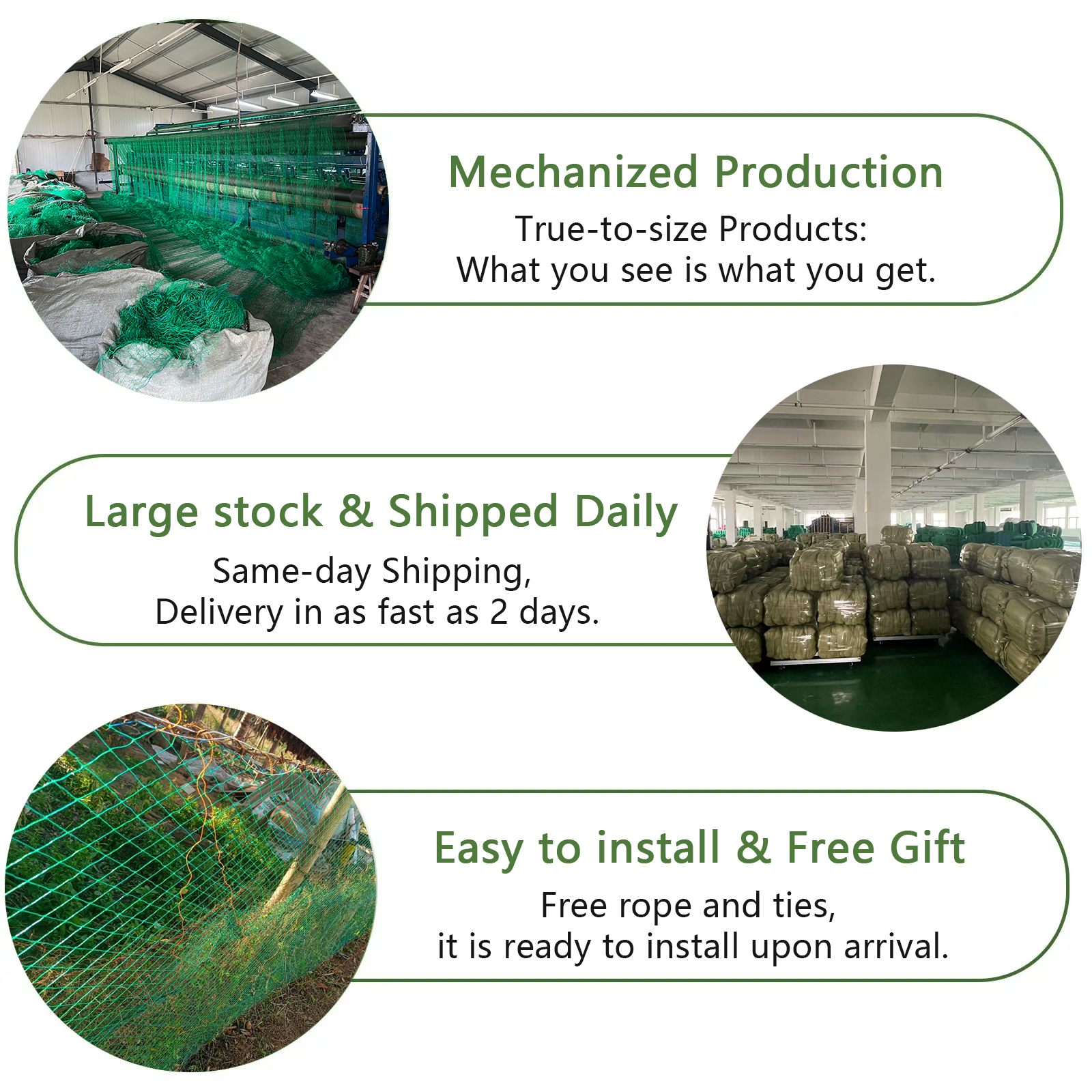 Free Rope Chicken Net Range Net For Chicken Lambat Outdoor Defense Bird ...