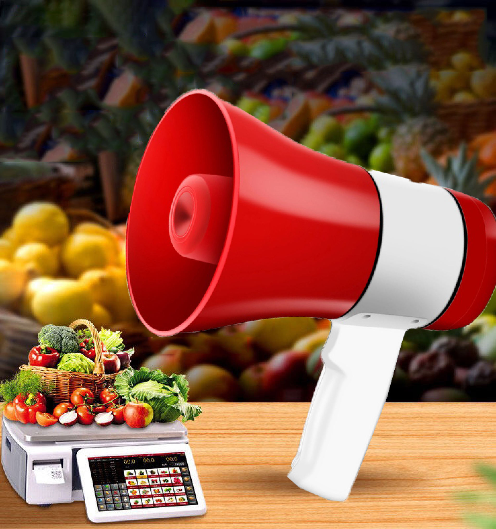 Handheld Megaphone Type-C Charge with Talk/Play/Siren/USB/TF Cards ...