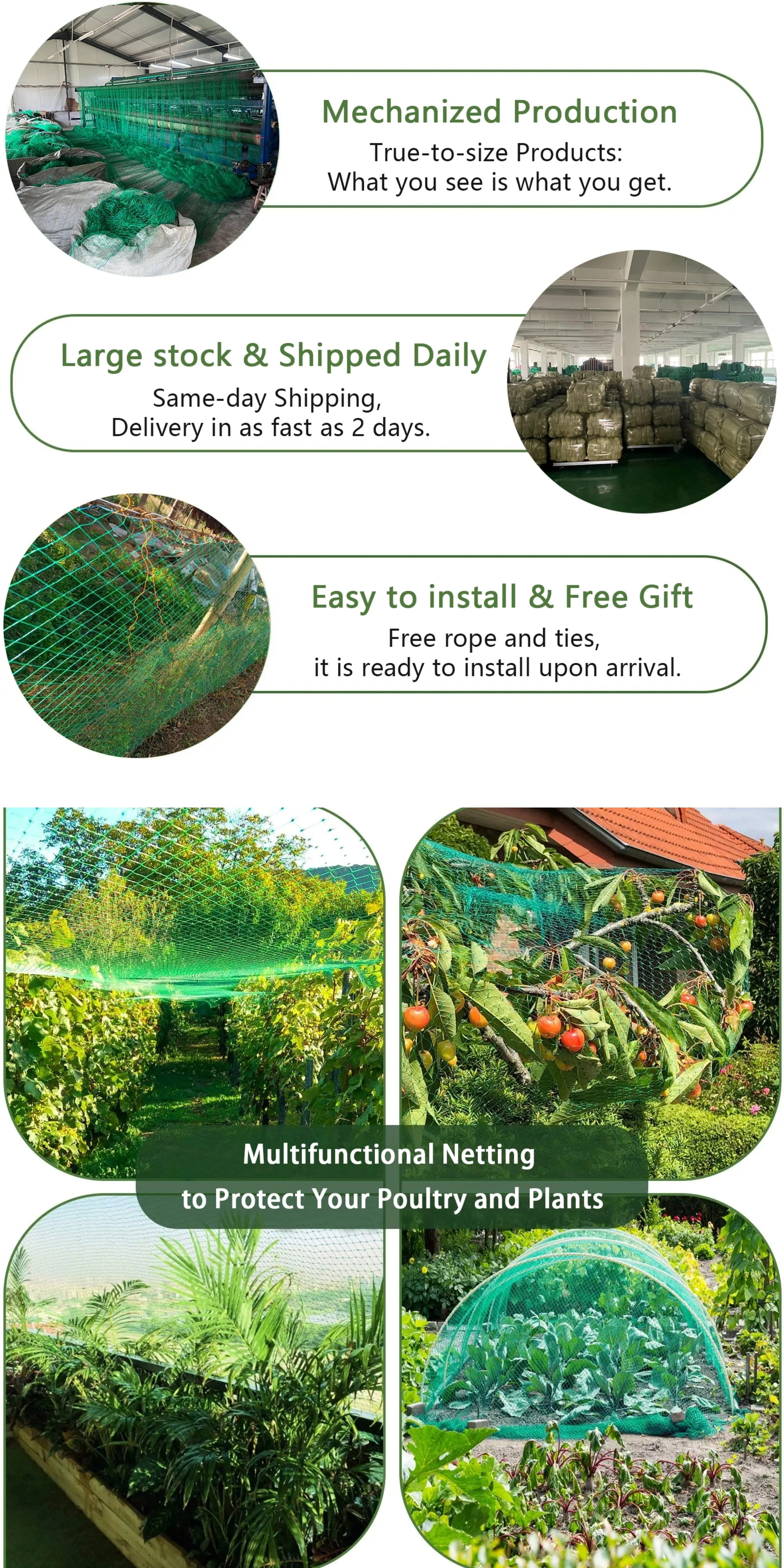 Free Rope Net for Chicken Net 50M/100M Fish Net for Fishing Net Lambat ...