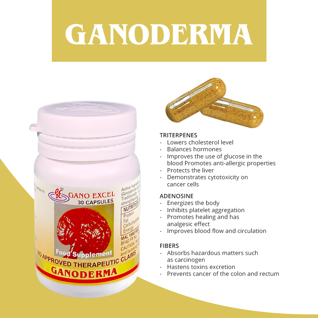 GANO EXCEL GANODERMA FOOD SUPPLEMENT CAPSULES 30s | Shopee Philippines