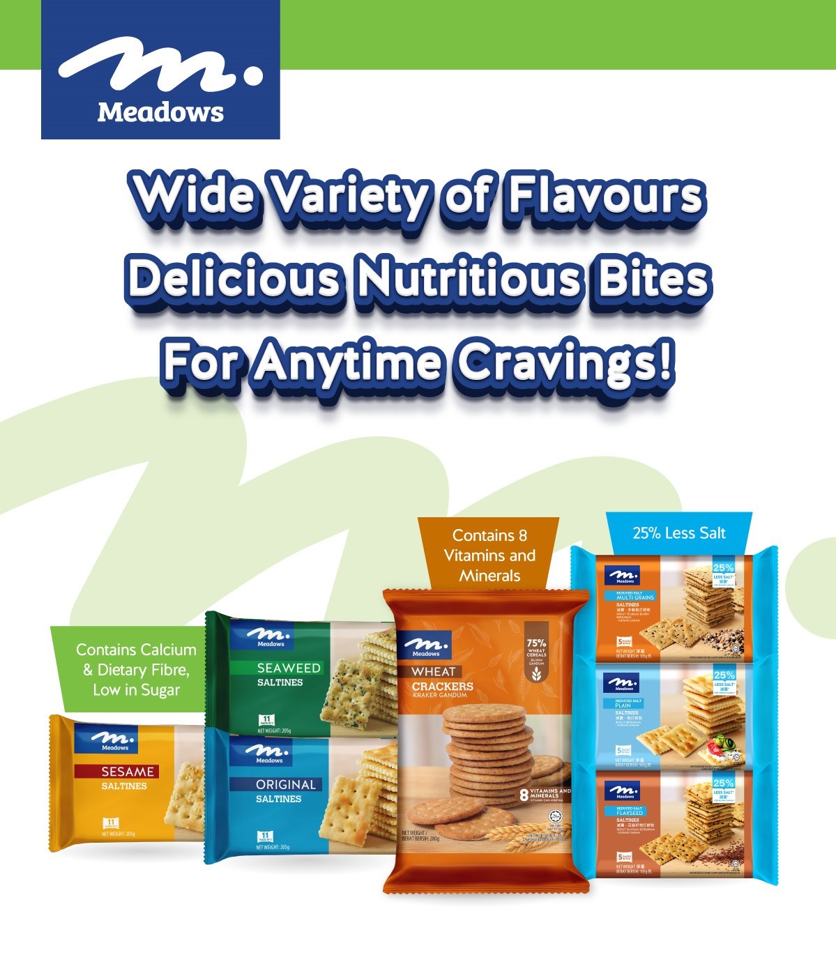 Meadows Reduced Salt Plain Saltines 105G | Shopee Philippines